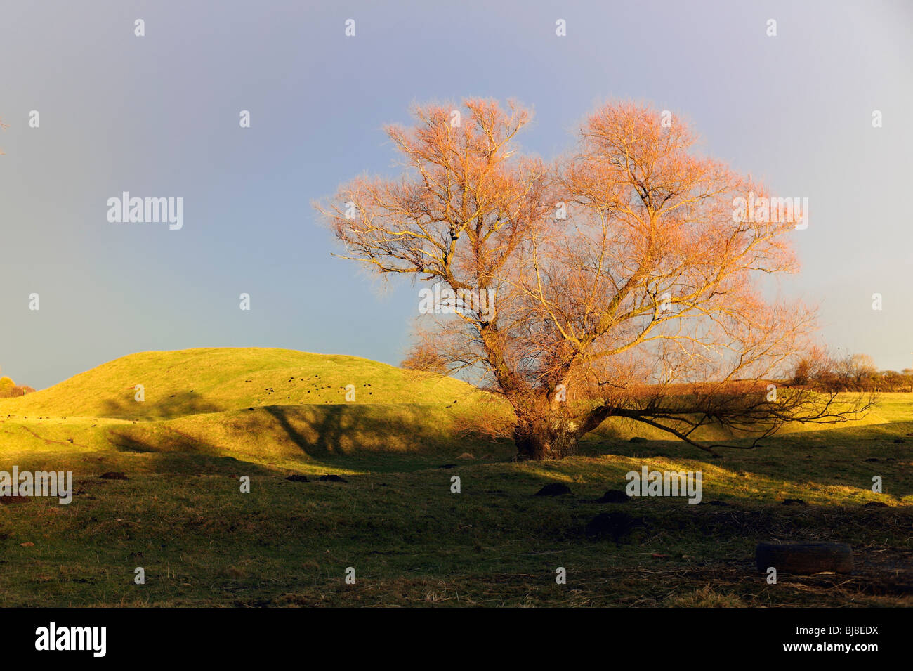 motte and bailey castle yelden bedfordshire home counties england uk ...