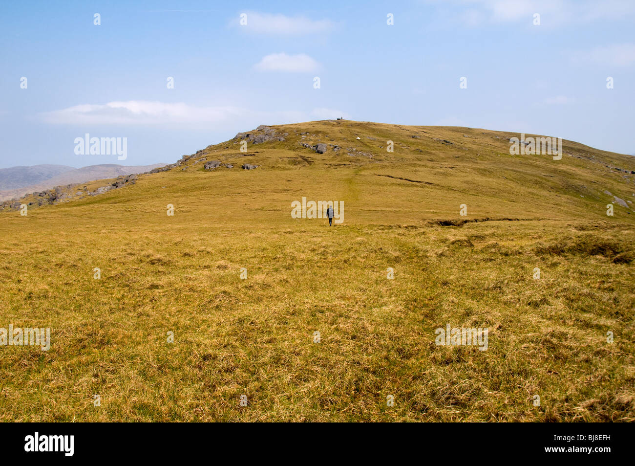The summit plateau of Hungry Hill, near Adrigole, Beara Peninsula ...