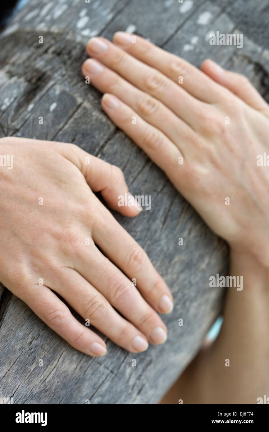 Save a tree images hi-res stock photography and images - Alamy