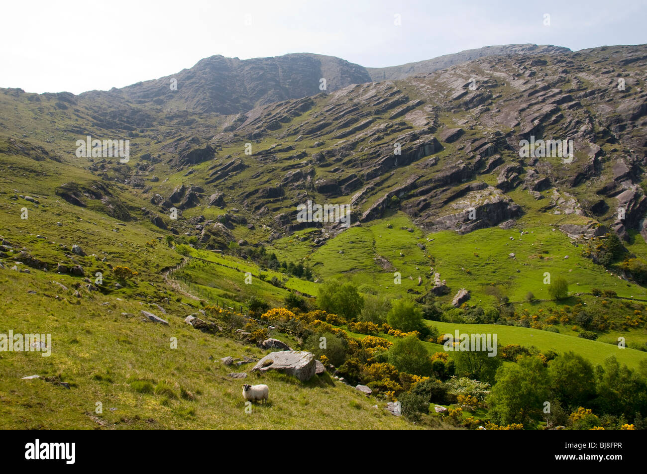 Rock strata on the slopes of Hungry Hill, near Adrigole, Beara ...