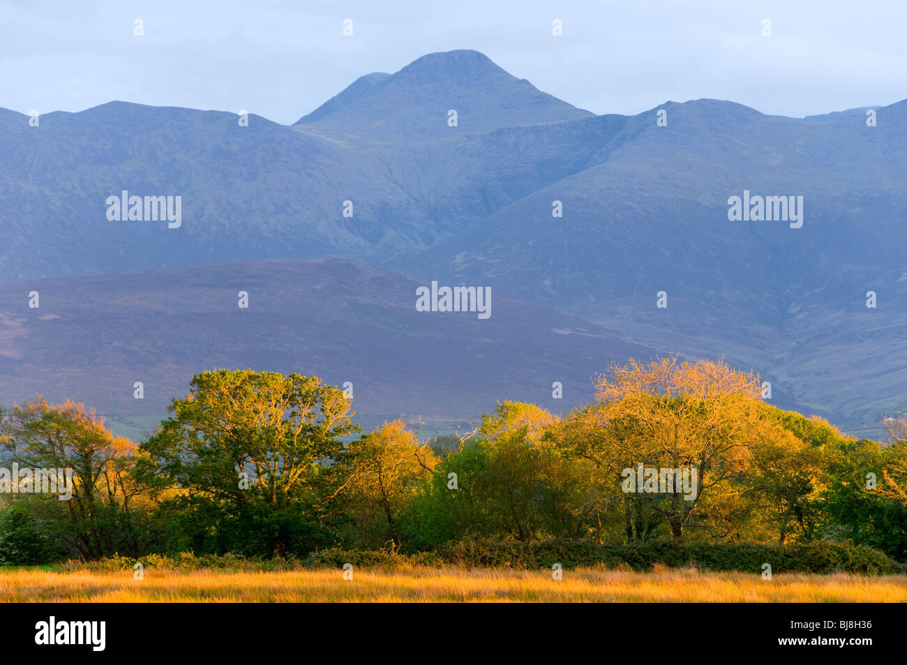 Carrauntoohil in the MacGillicuddy's Reeks range, from the river Laune ...