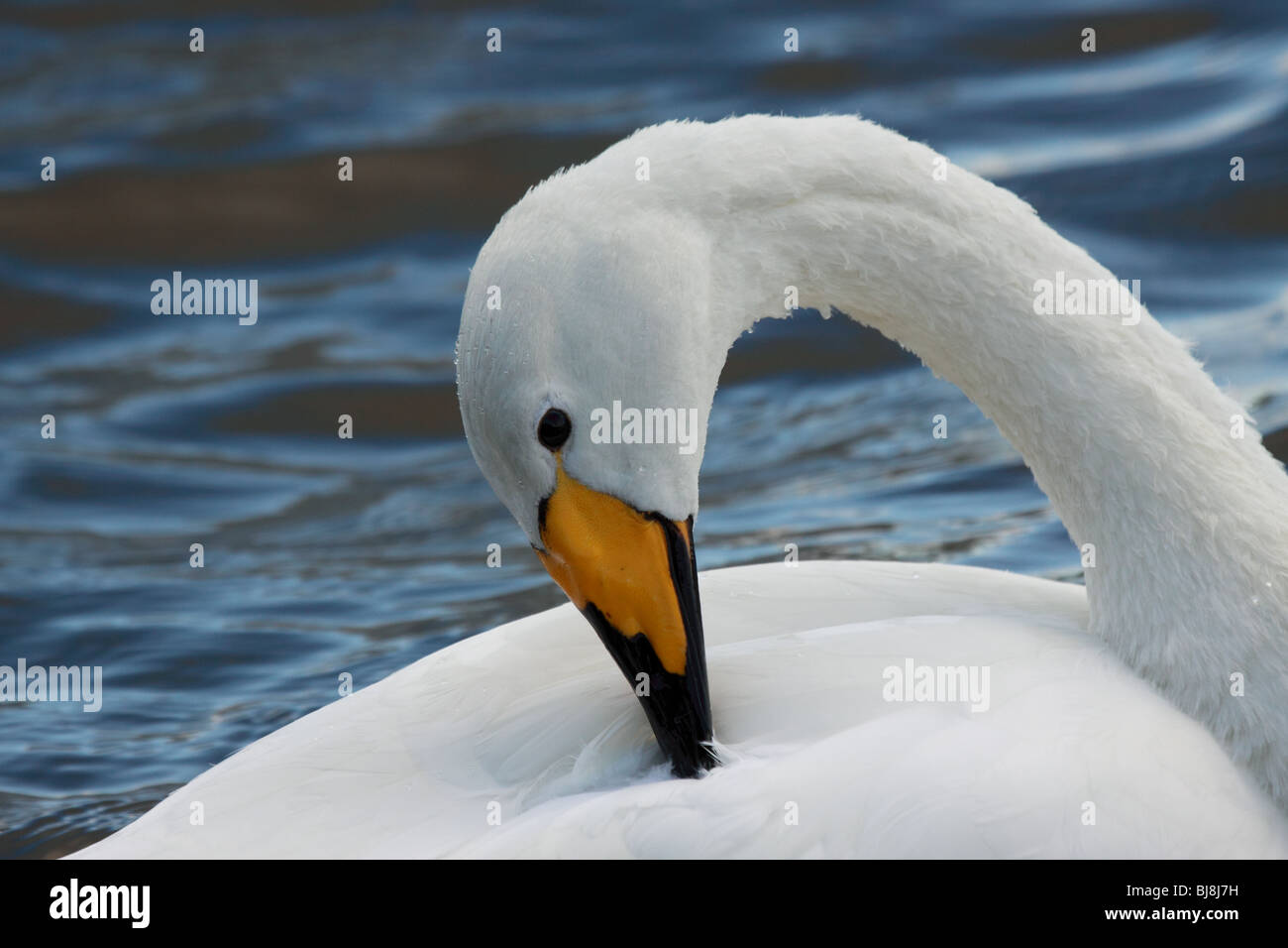 Drift reservoir hi-res stock photography and images - Alamy