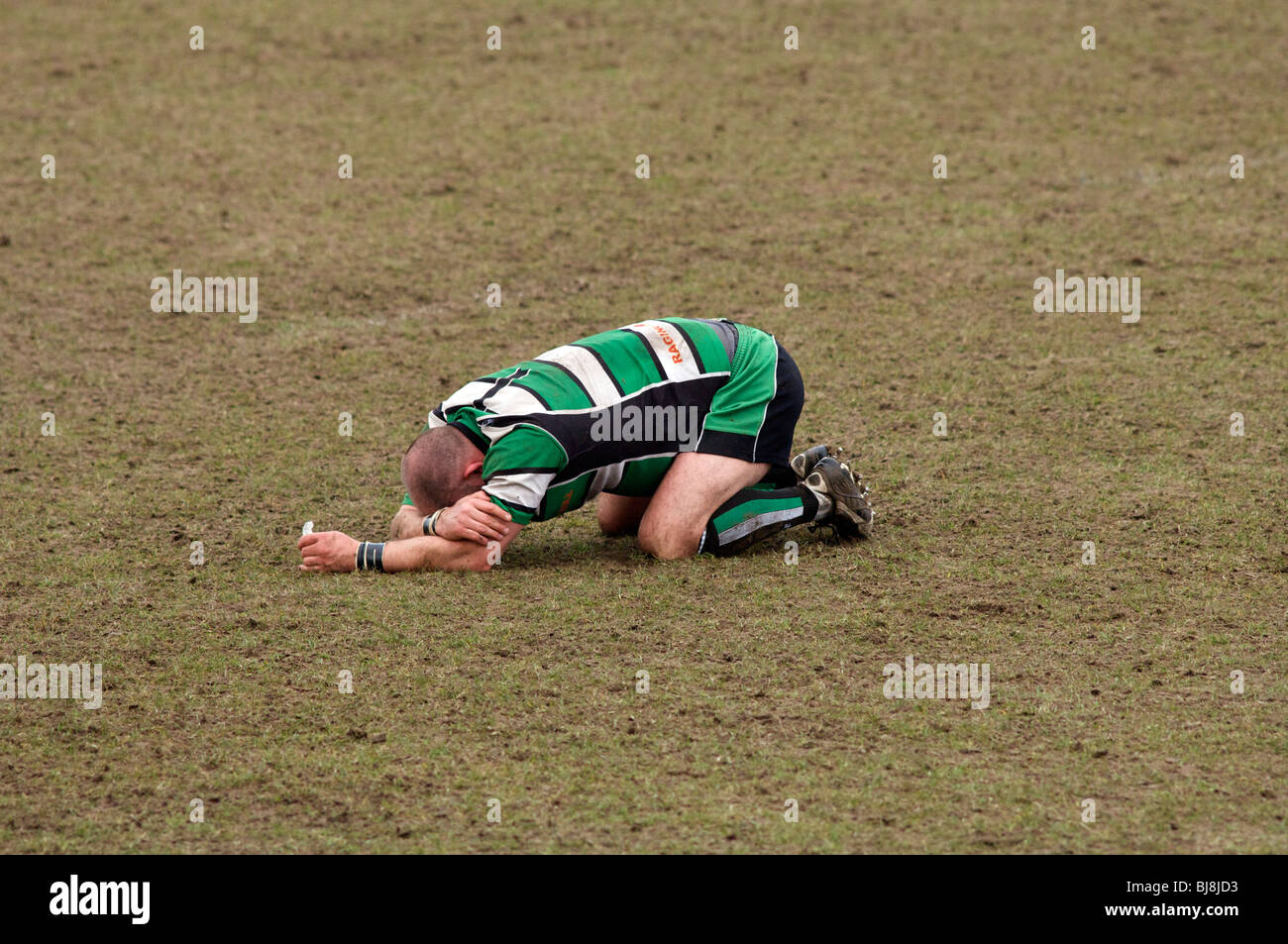rugby player in pain from injury Stock Photo - Alamy