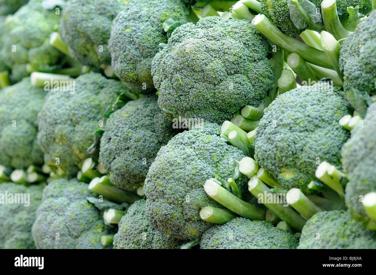 Bawar hi-res stock photography and images - Alamy