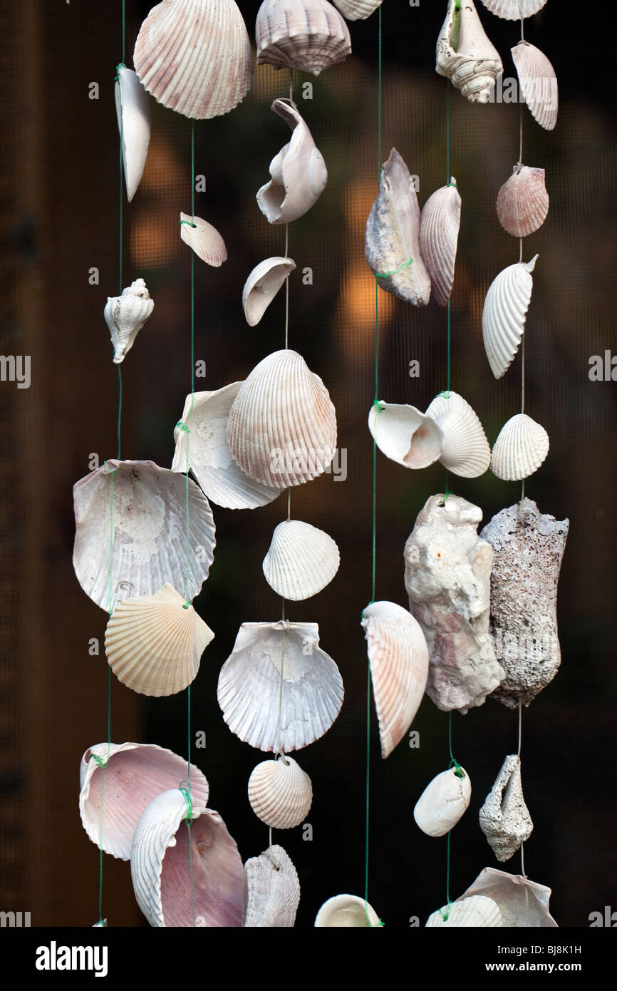 Hanging wind chime made from fishing line and shells Stock Photo - Alamy