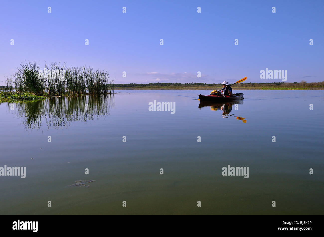 De leon springs hi-res stock photography and images - Alamy