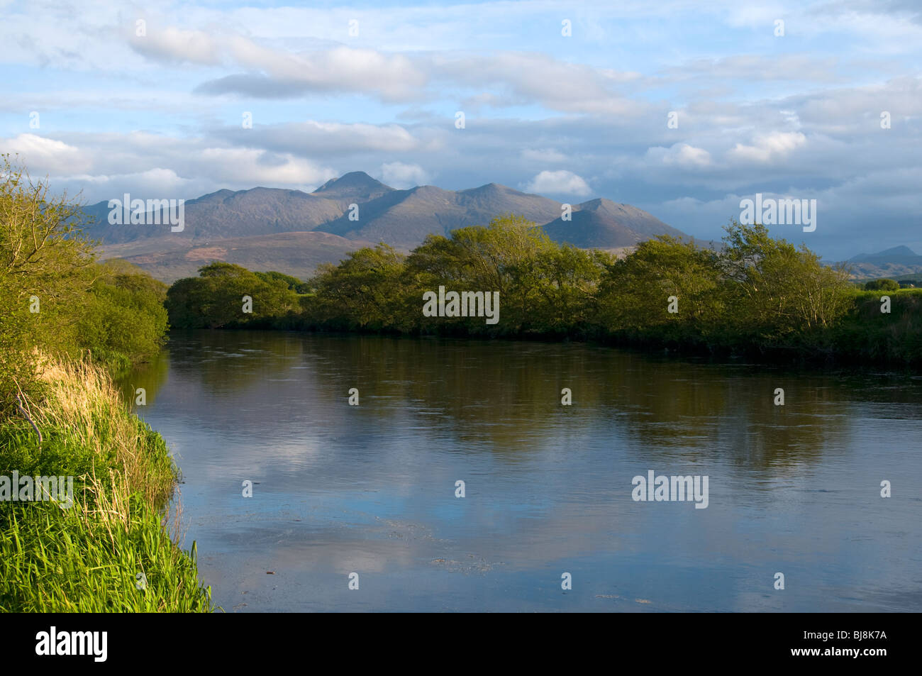 Carrauntoohil in the MacGillicuddy's Reeks range, from the river Laune ...
