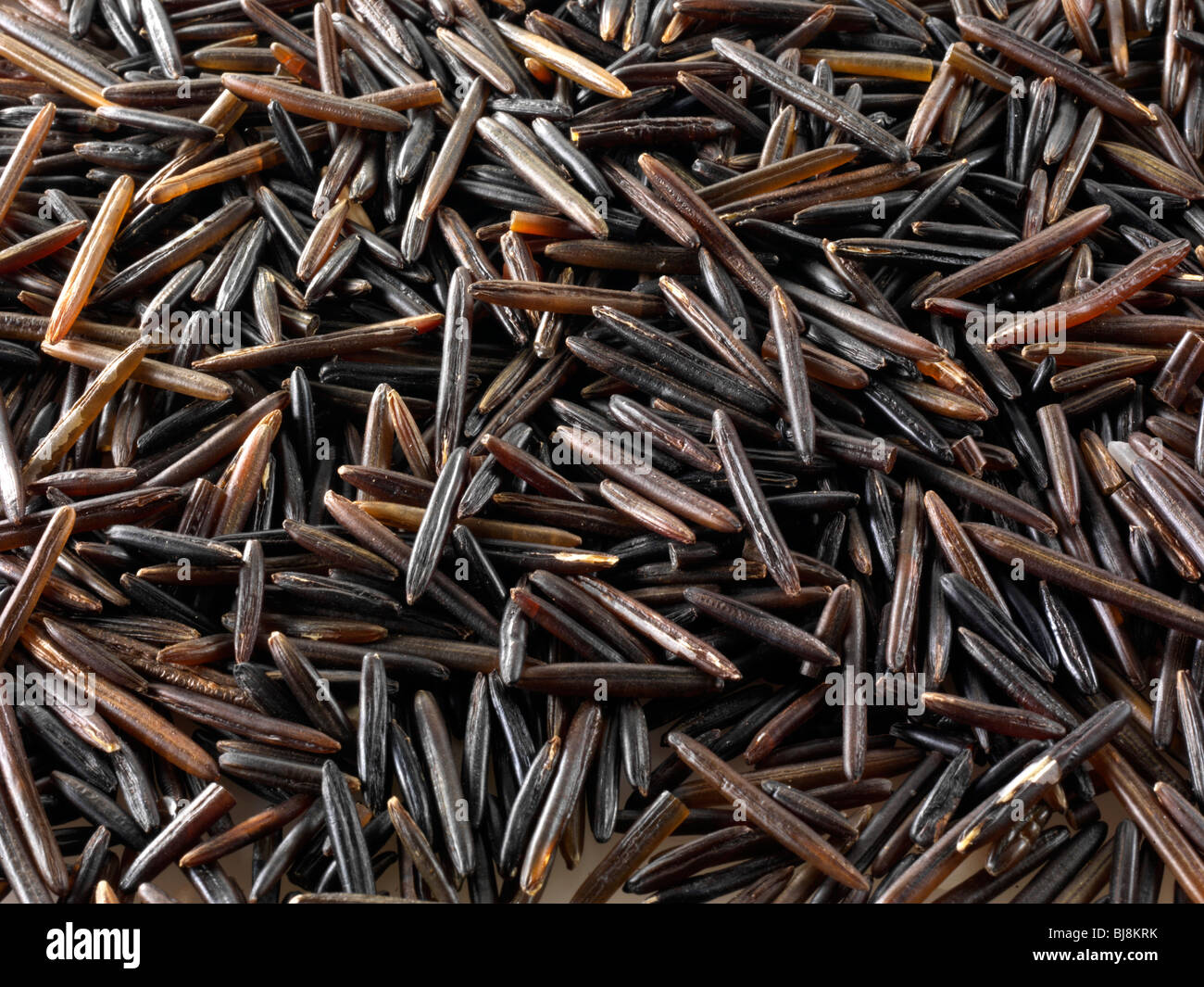 Wild Rice grains - stock photos Stock Photo - Alamy