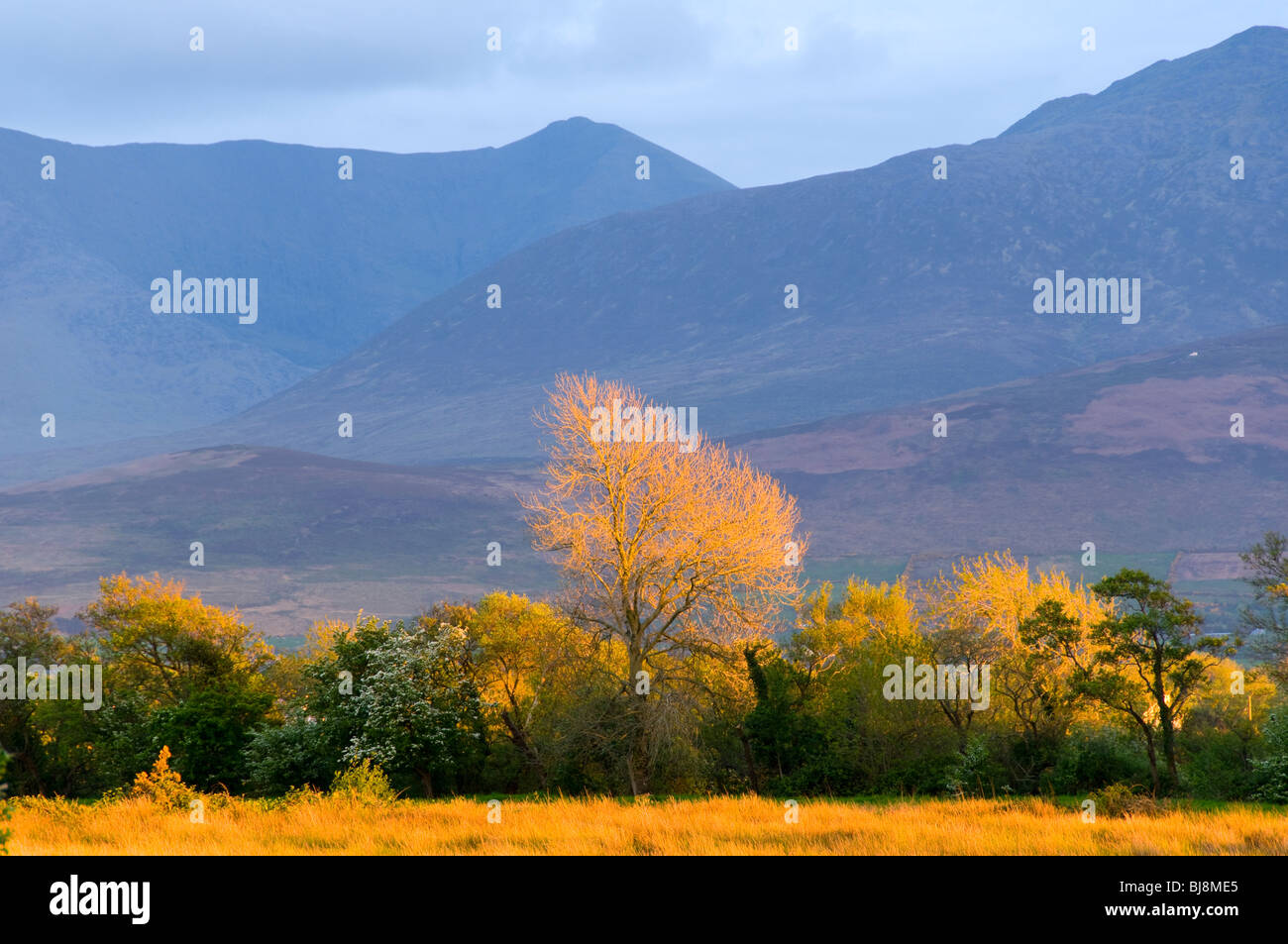 MacGillicuddy's Reeks range, from the river Laune at Killorglen, County ...