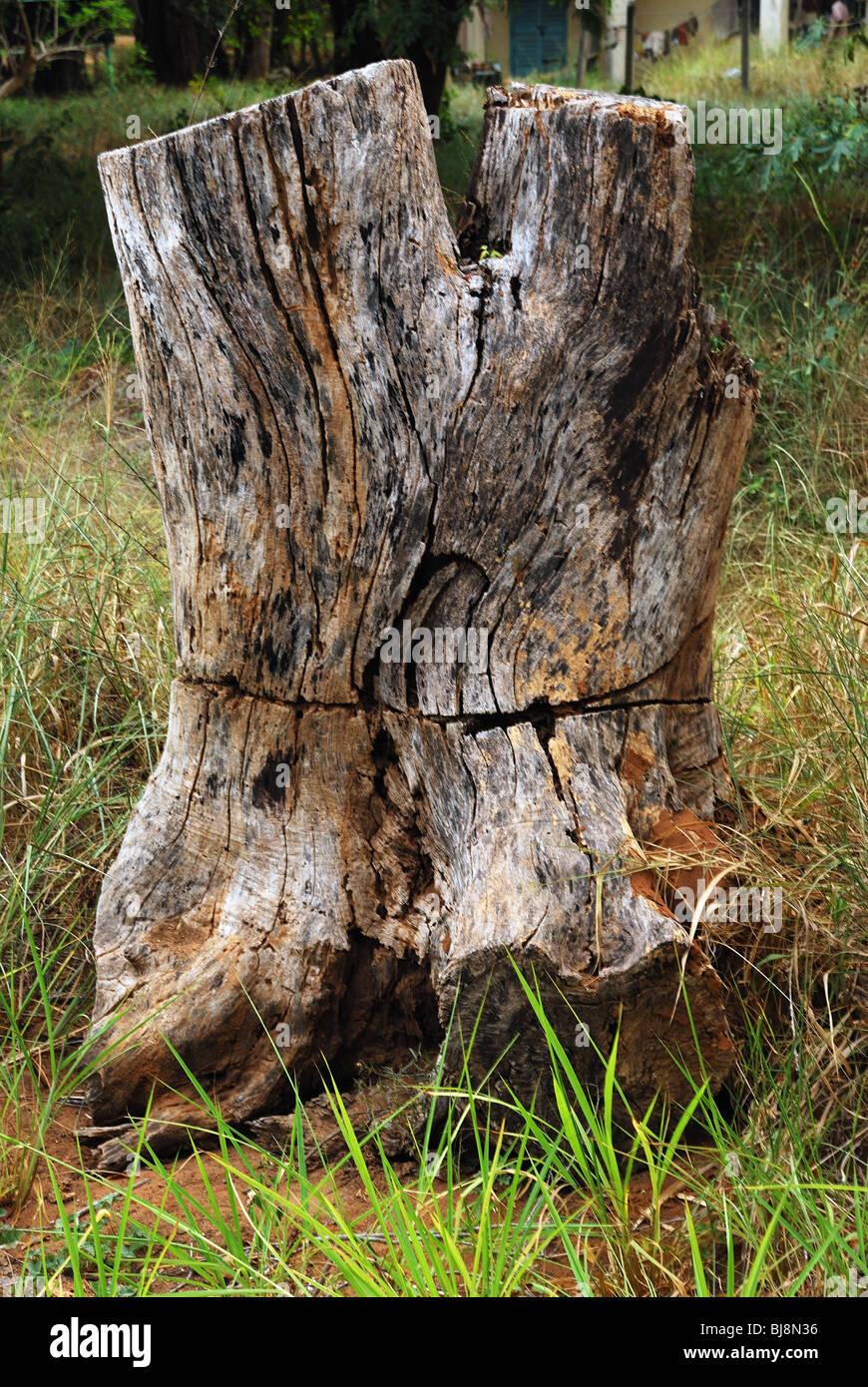 Big cut hi-res stock photography and images - Alamy