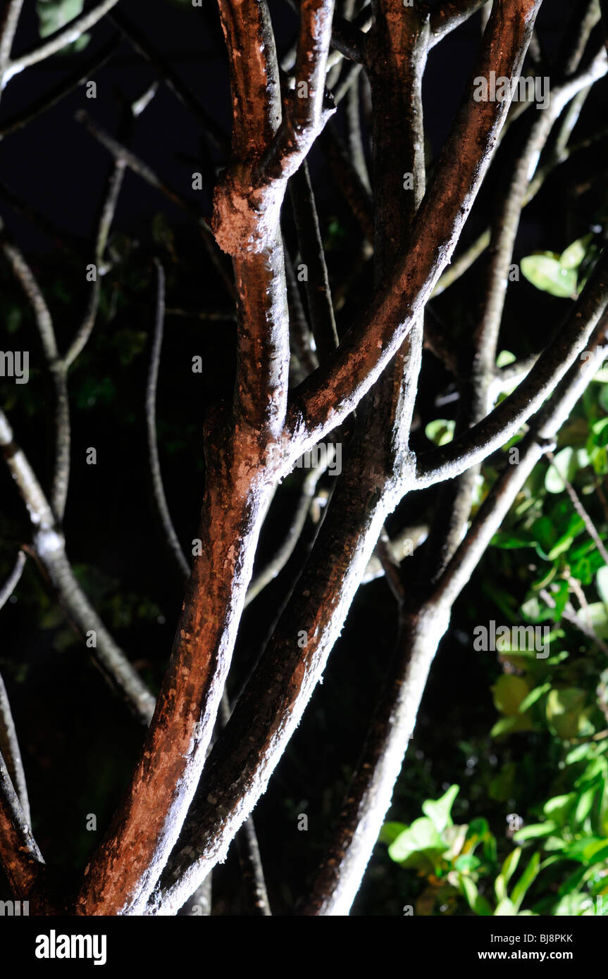 Losmen garden hi-res stock photography and images - Alamy