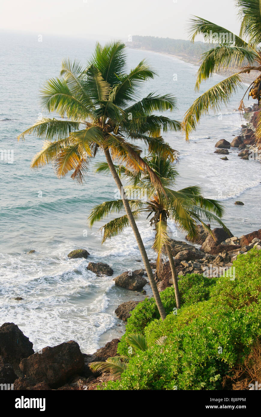 Beach and Cliff Nature Landscape Scenery from Varkala.Varkala is a ...