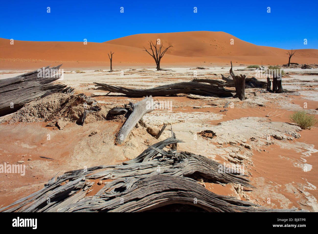 Africa Dead Vlei Namib Desert Namibia Sossusvlei Stock Photo - Alamy