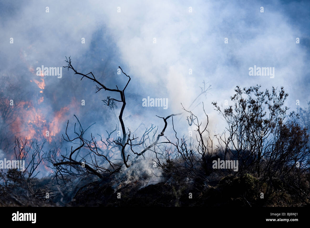 Deliberate hi-res stock photography and images - Alamy