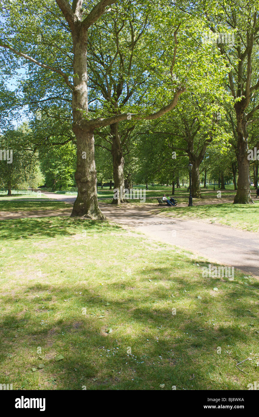 London trees hi-res stock photography and images - Alamy