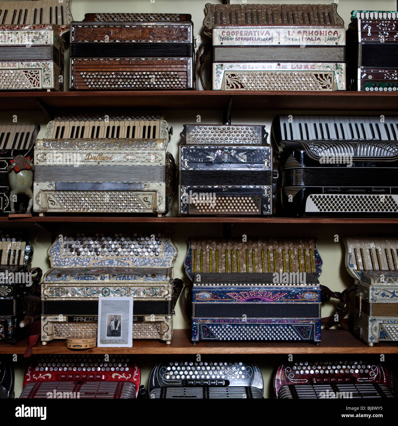 collection of accordions on shelves Stock Photo - Alamy