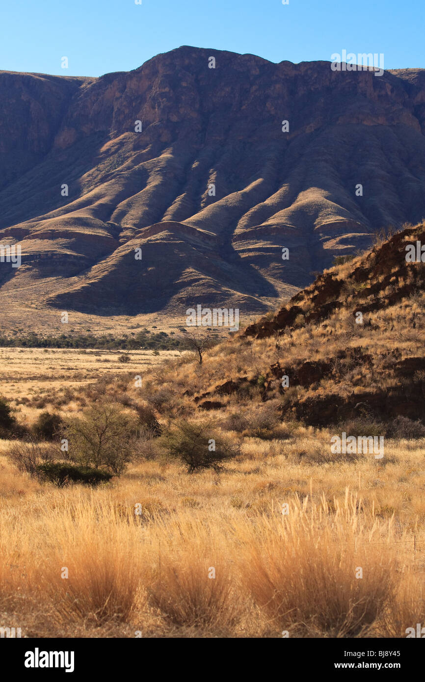 Namib valley hi-res stock photography and images - Alamy