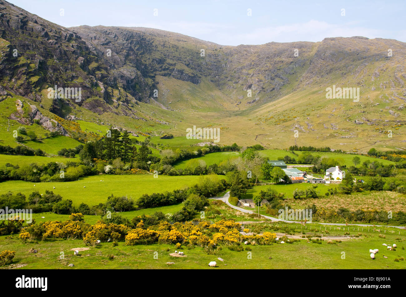 Derryclancy and Derreen, peaks of the Hungry Hill range, near Adrigole ...