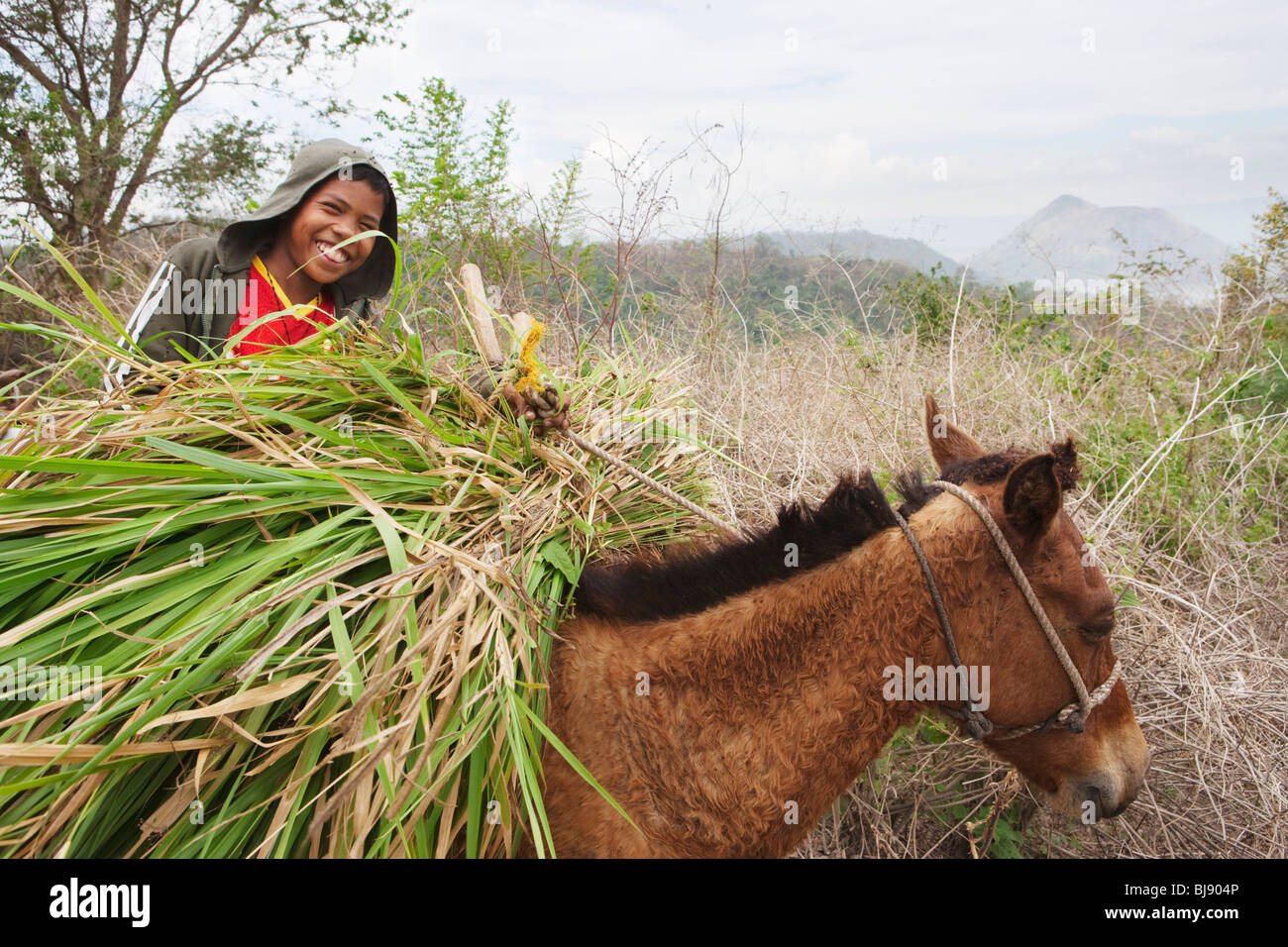 Village boy smiling on horseback with reeds he has collected; Volcano ...