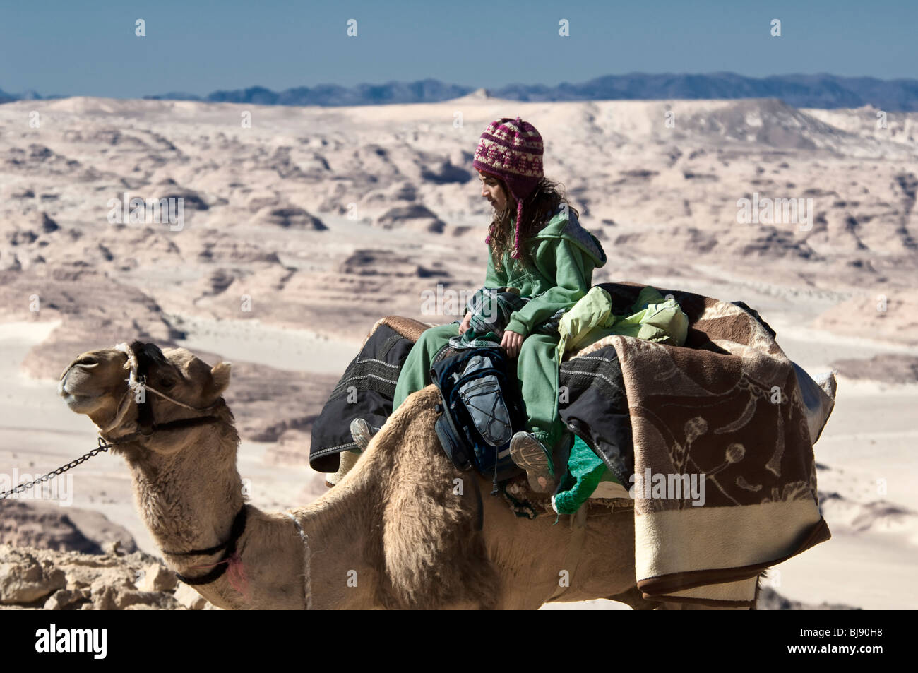 A young girl riding a camel at a camel safari in the Sinai desert Egypt ...