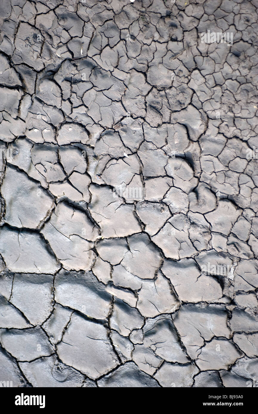 dried up lake Stock Photo - Alamy