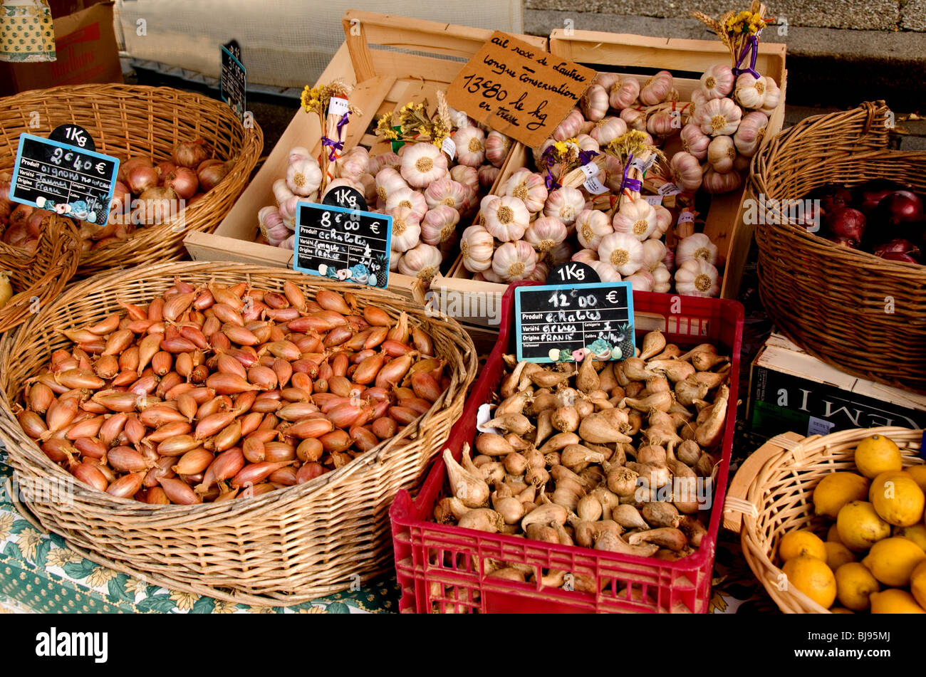 Onion stand hi-res stock photography and images - Alamy