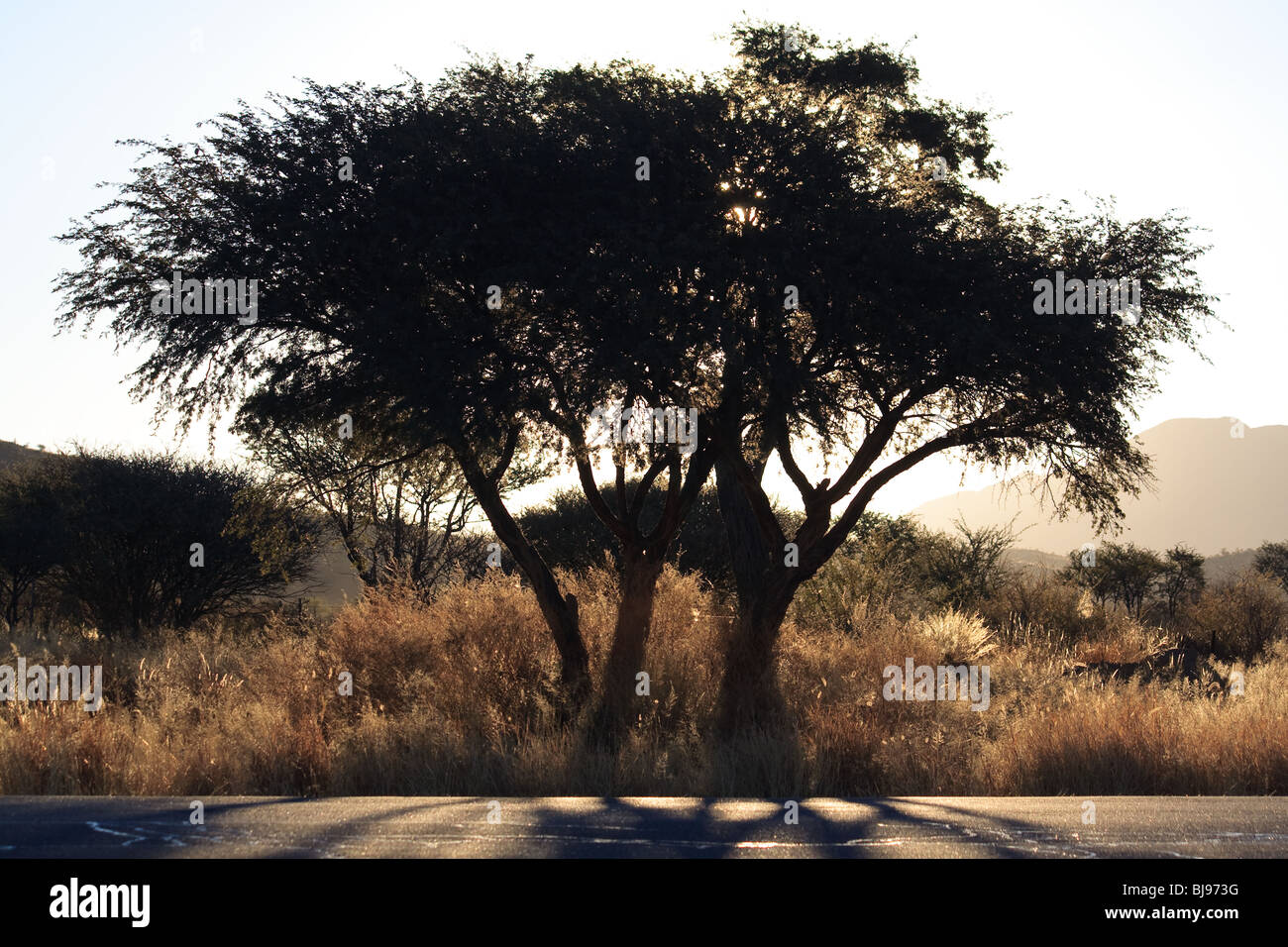 Rehoboth namibia hi-res stock photography and images - Alamy