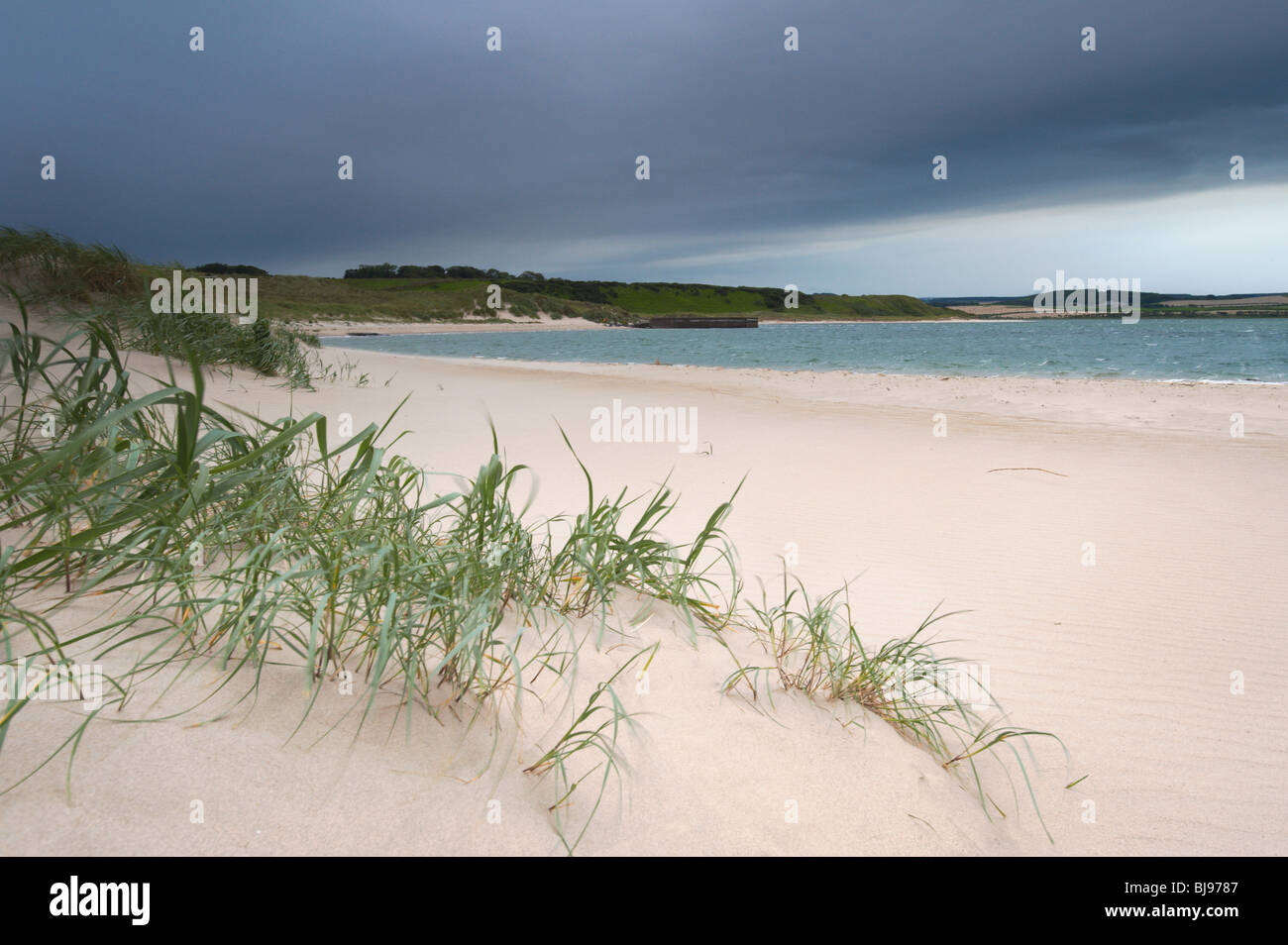 Budle Bay High Resolution Stock Photography and Images - Alamy
