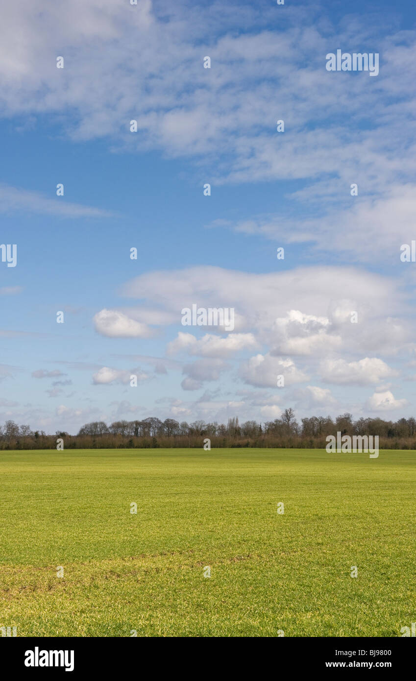 Open space, grassland and countryside landscape view near Littlewick ...