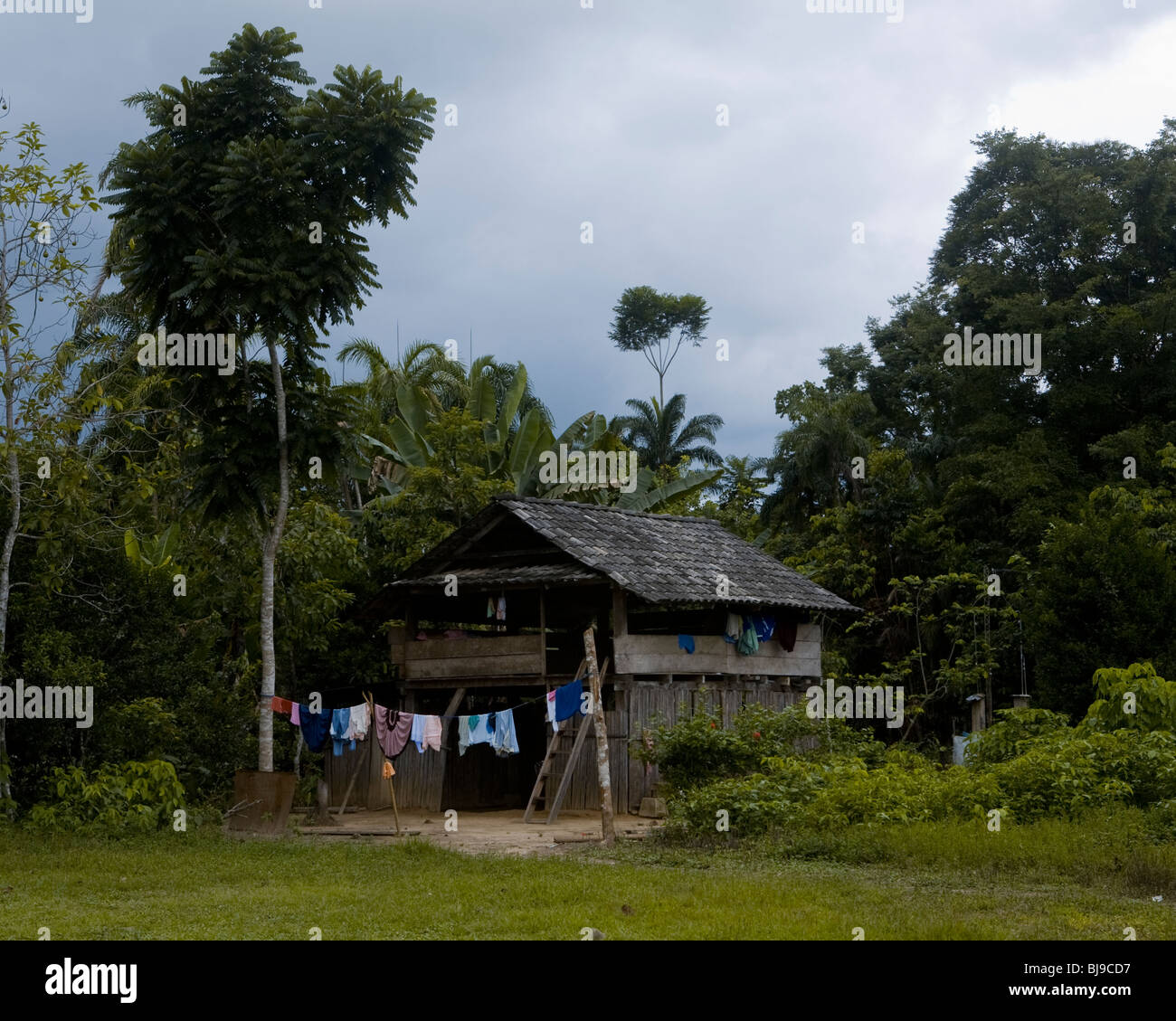 Chapare bolivia hi-res stock photography and images - Alamy