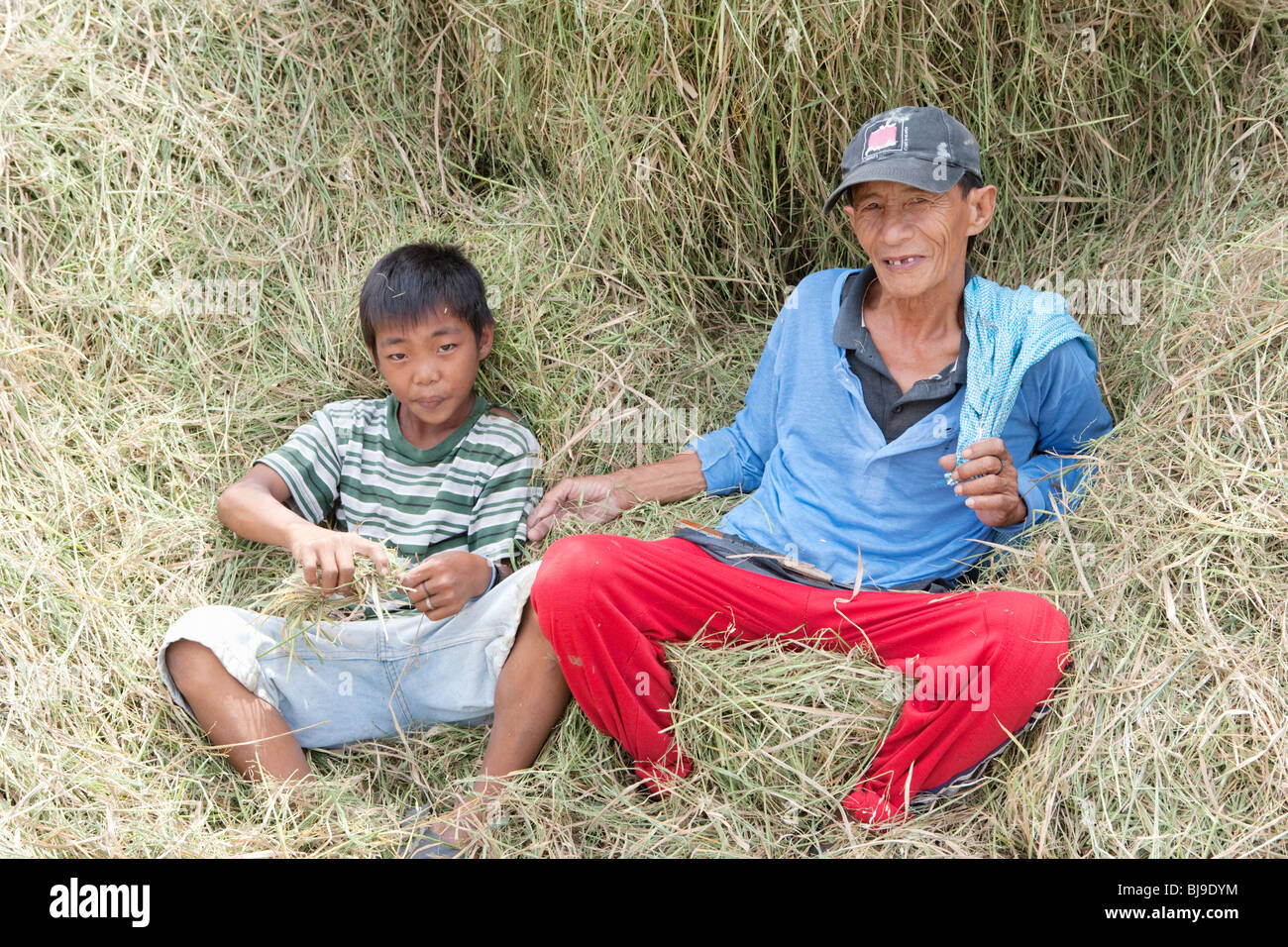 Old man and young boy sitting on hay stack during rice harvest ...