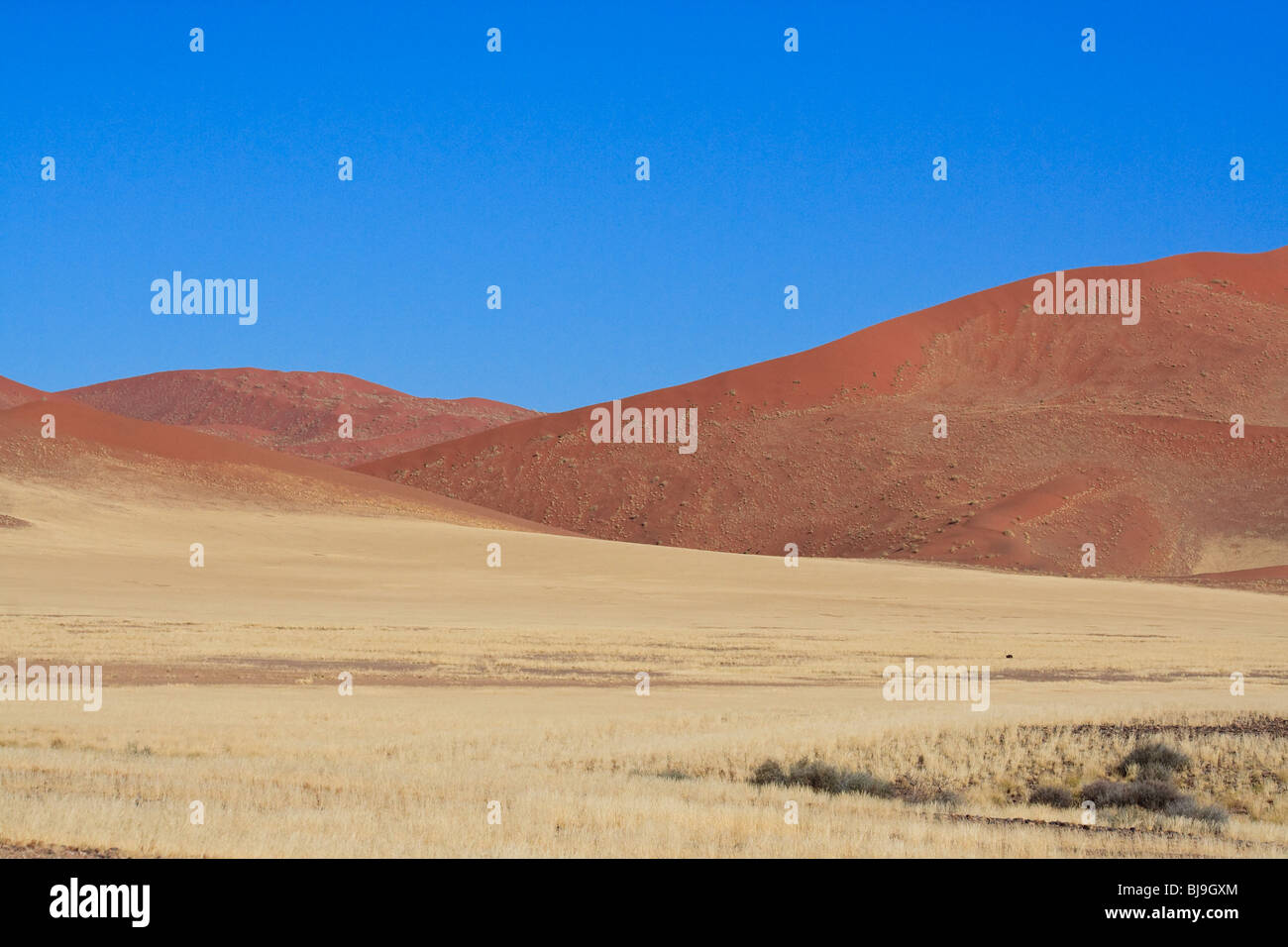 Blue sky desert hi-res stock photography and images - Alamy
