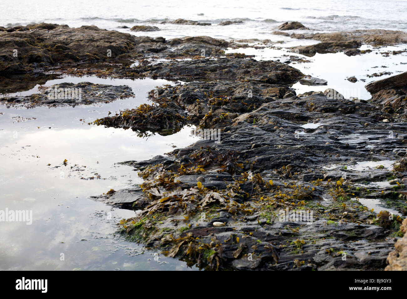 Rock pool sea hi-res stock photography and images - Alamy