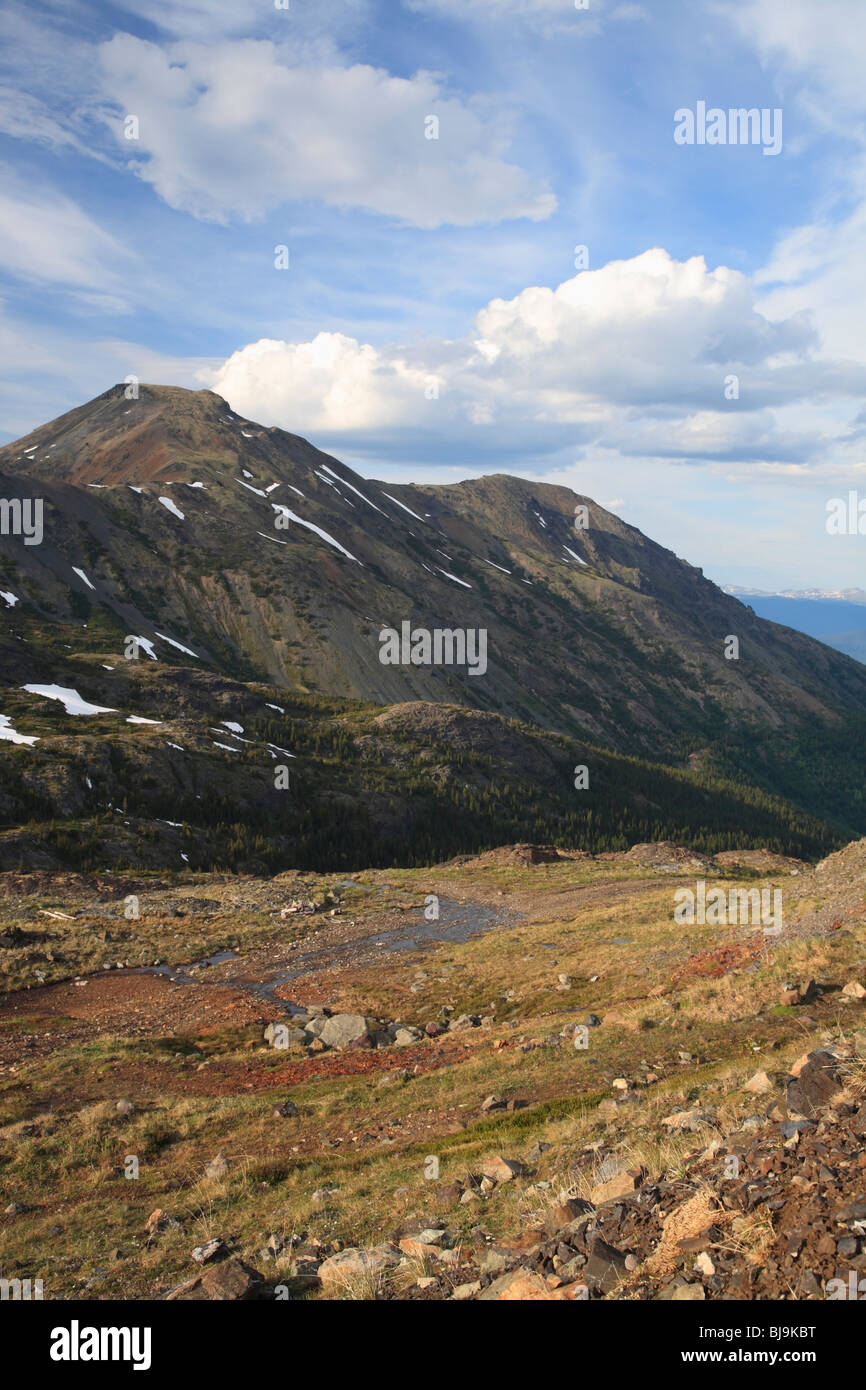 Alpine area on north side of Hudson Bay Mountain, with Mount Evelyn in ...