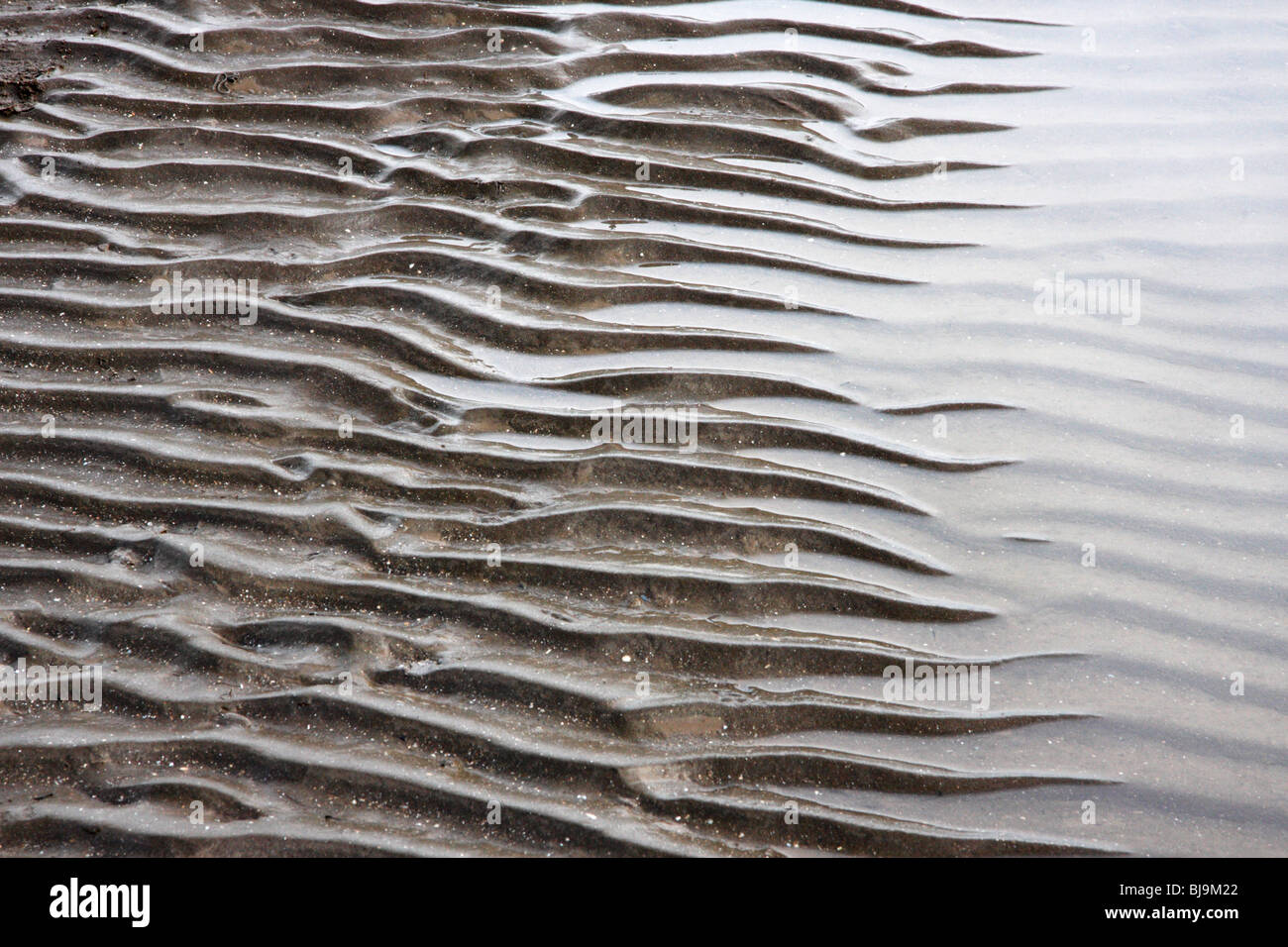 Sand ripples at the beach hi-res stock photography and images - Alamy