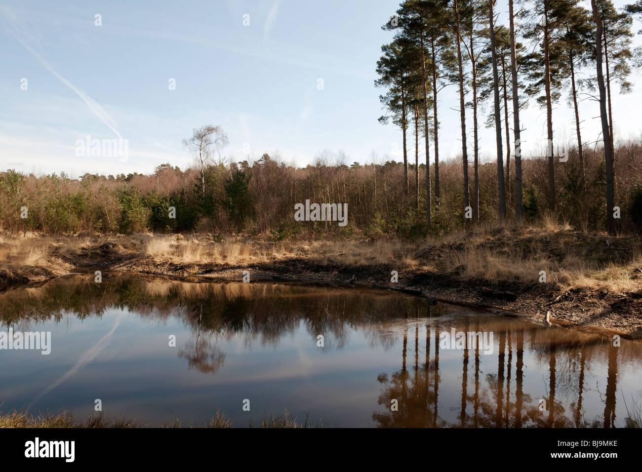 Crowthorne berkshire hi-res stock photography and images - Alamy