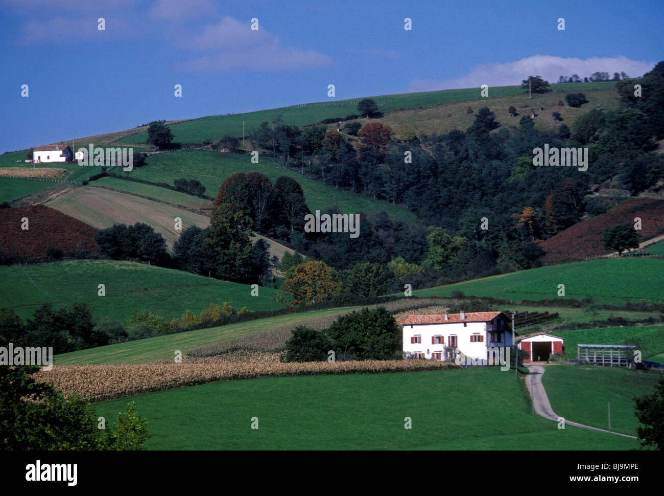 family farm, farm, farmhouse, farmland, farmstead, French Basque ...