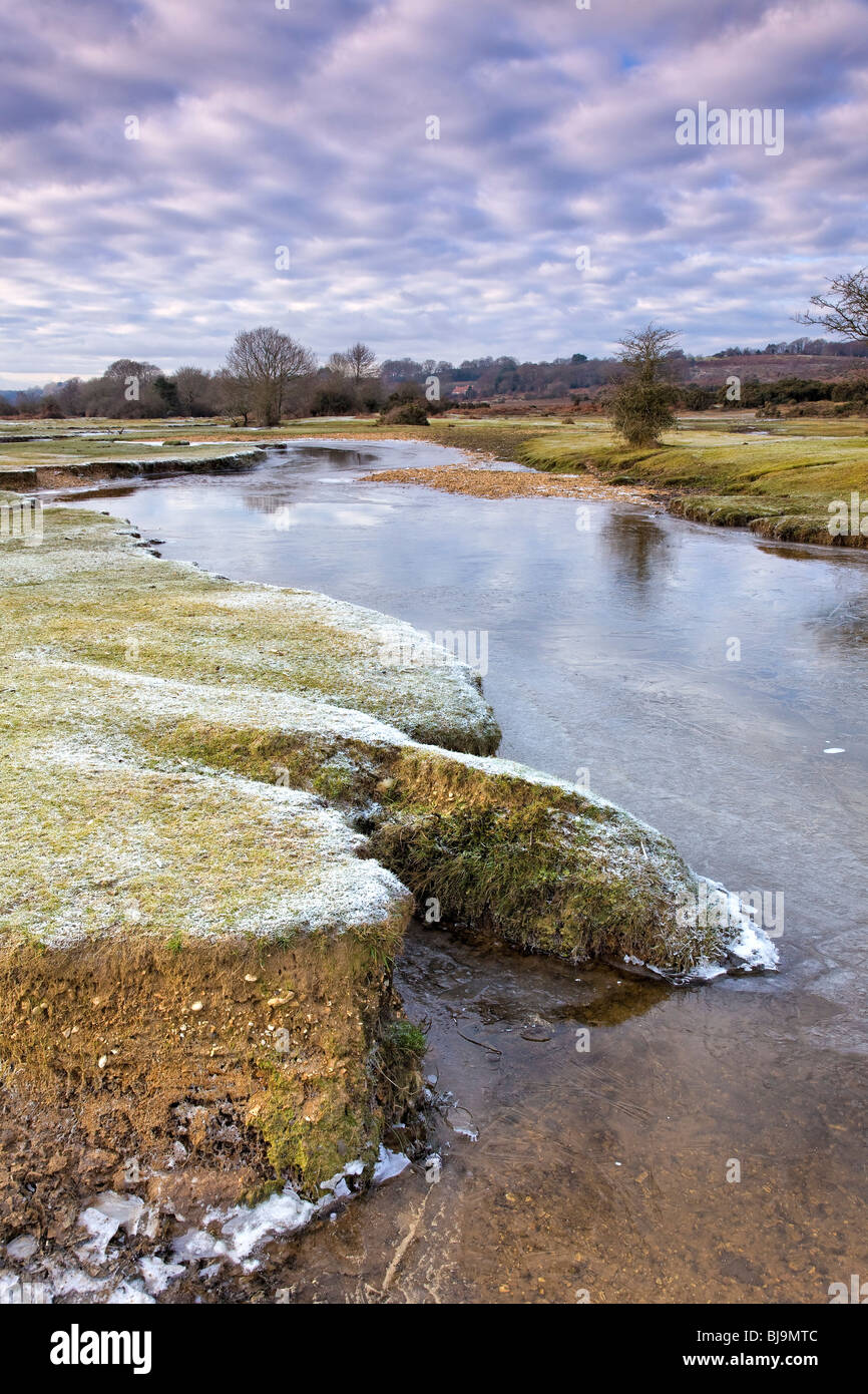 New forest winter hi-res stock photography and images - Alamy