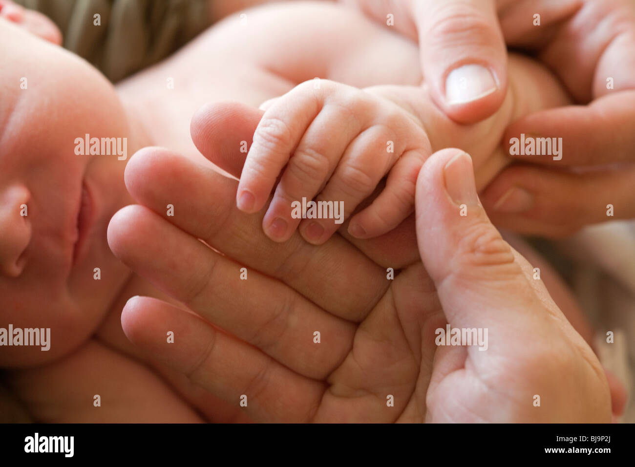Baby norden hi-res stock photography and images - Alamy