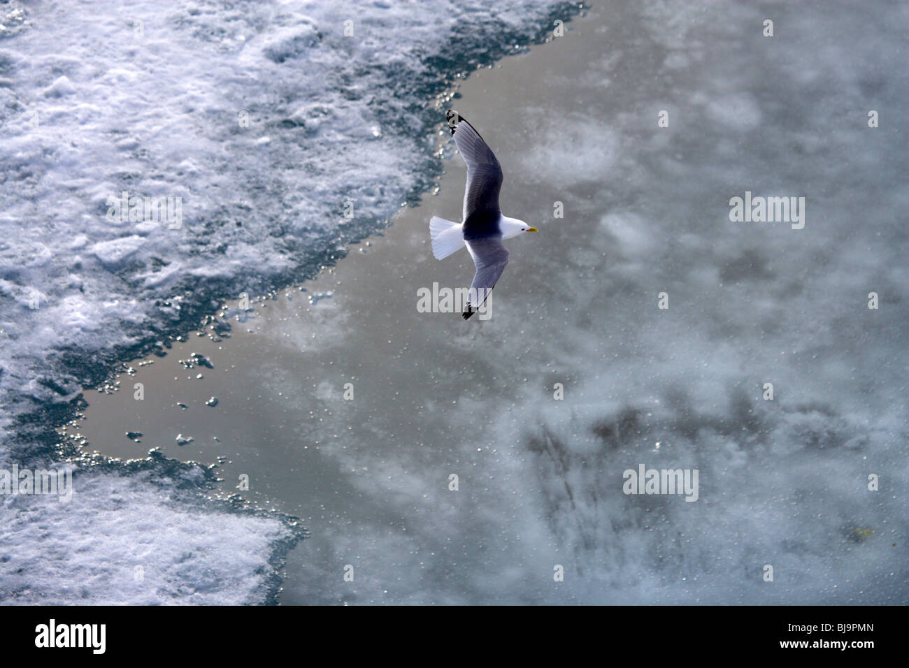 Flying over arctic sea ice hi-res stock photography and images - Alamy