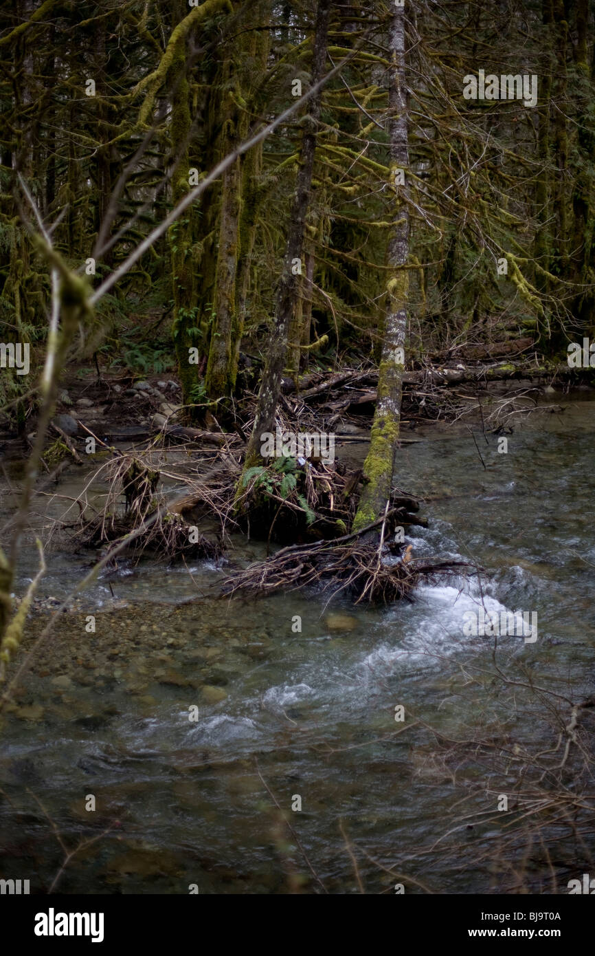 Water flowing down newly natural forming river Stock Photo - Alamy