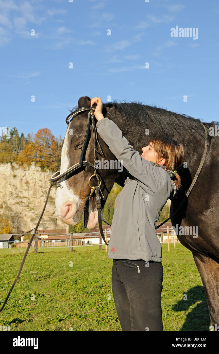 Bridle bit hi-res stock photography and images - Alamy