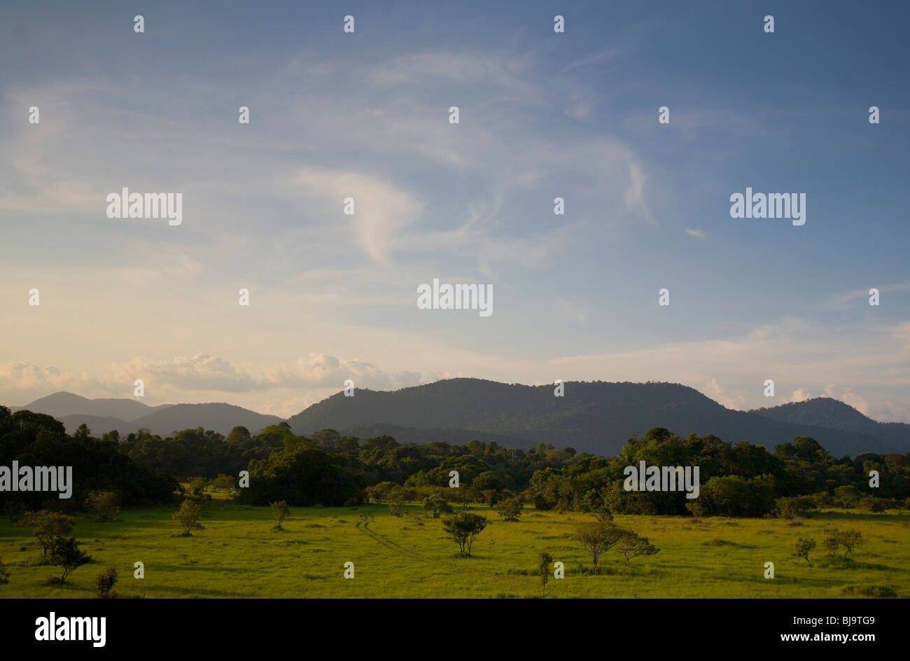 PAKARAIMA MOUNTAINS viewed from Surama village in the Rupununi savanah ...