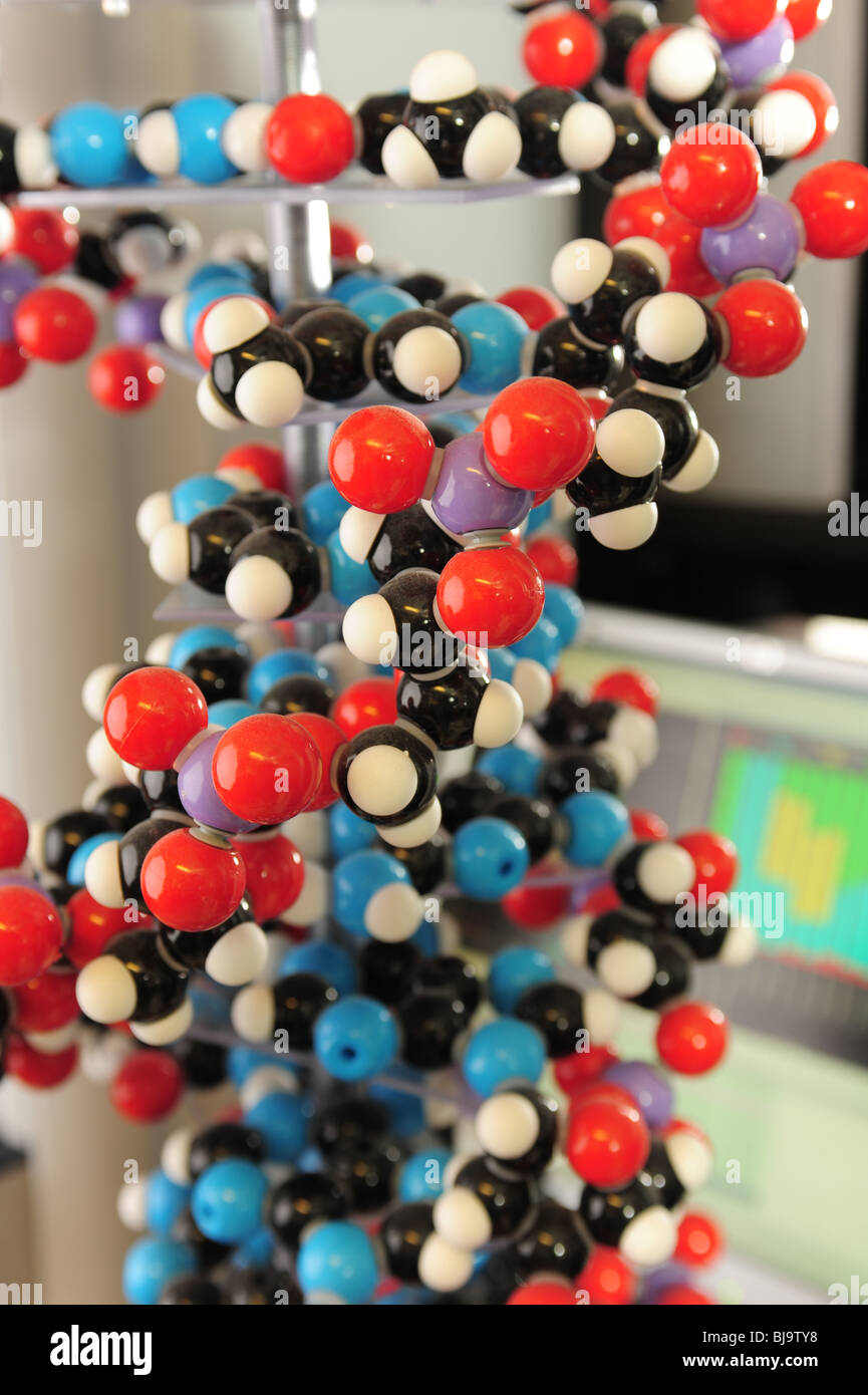 Double helix structure model hi-res stock photography and images - Alamy