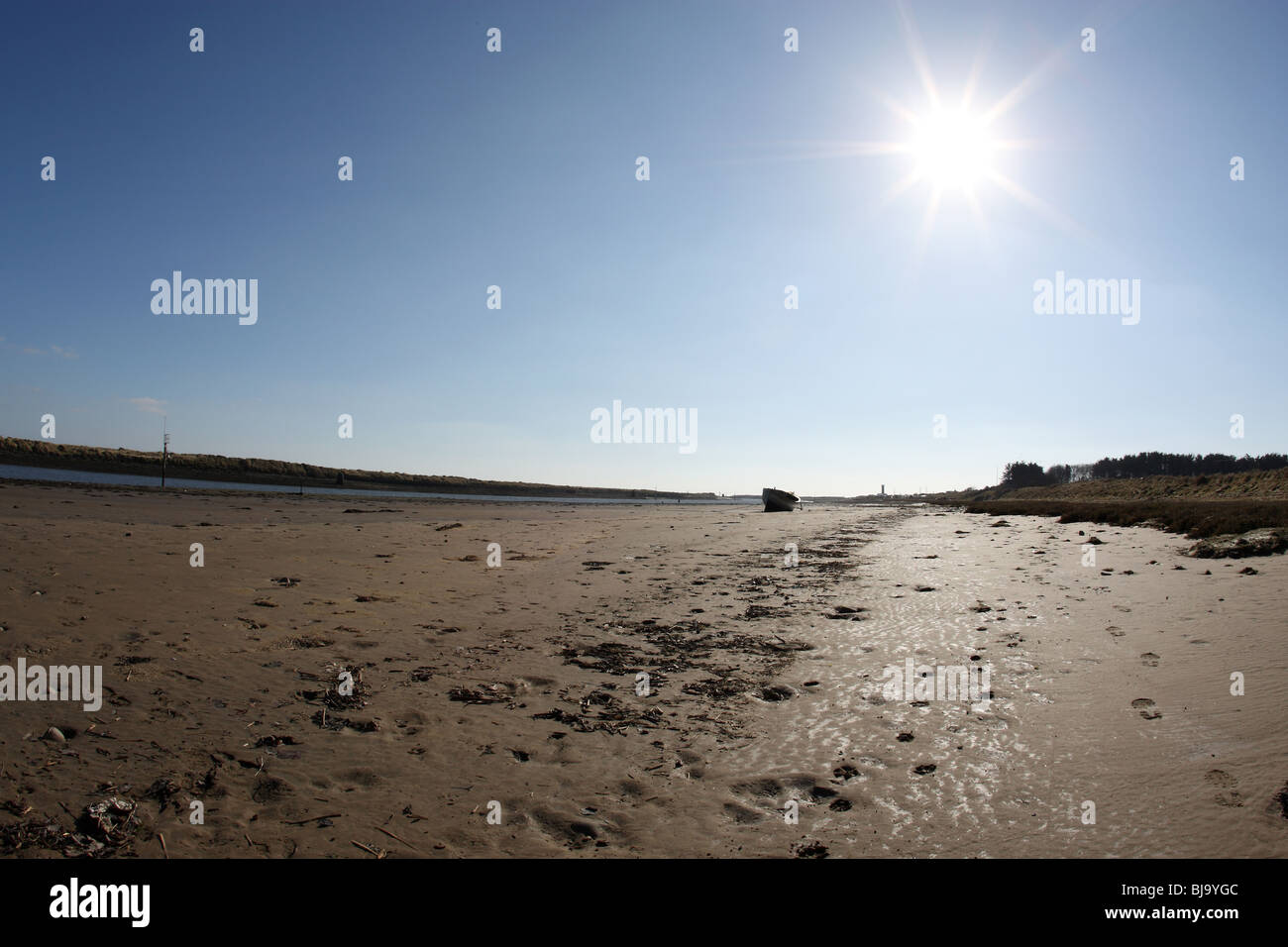 River bank scenery, River Boyne, Mornington, Boyne Valley, Drogheda, Co ...