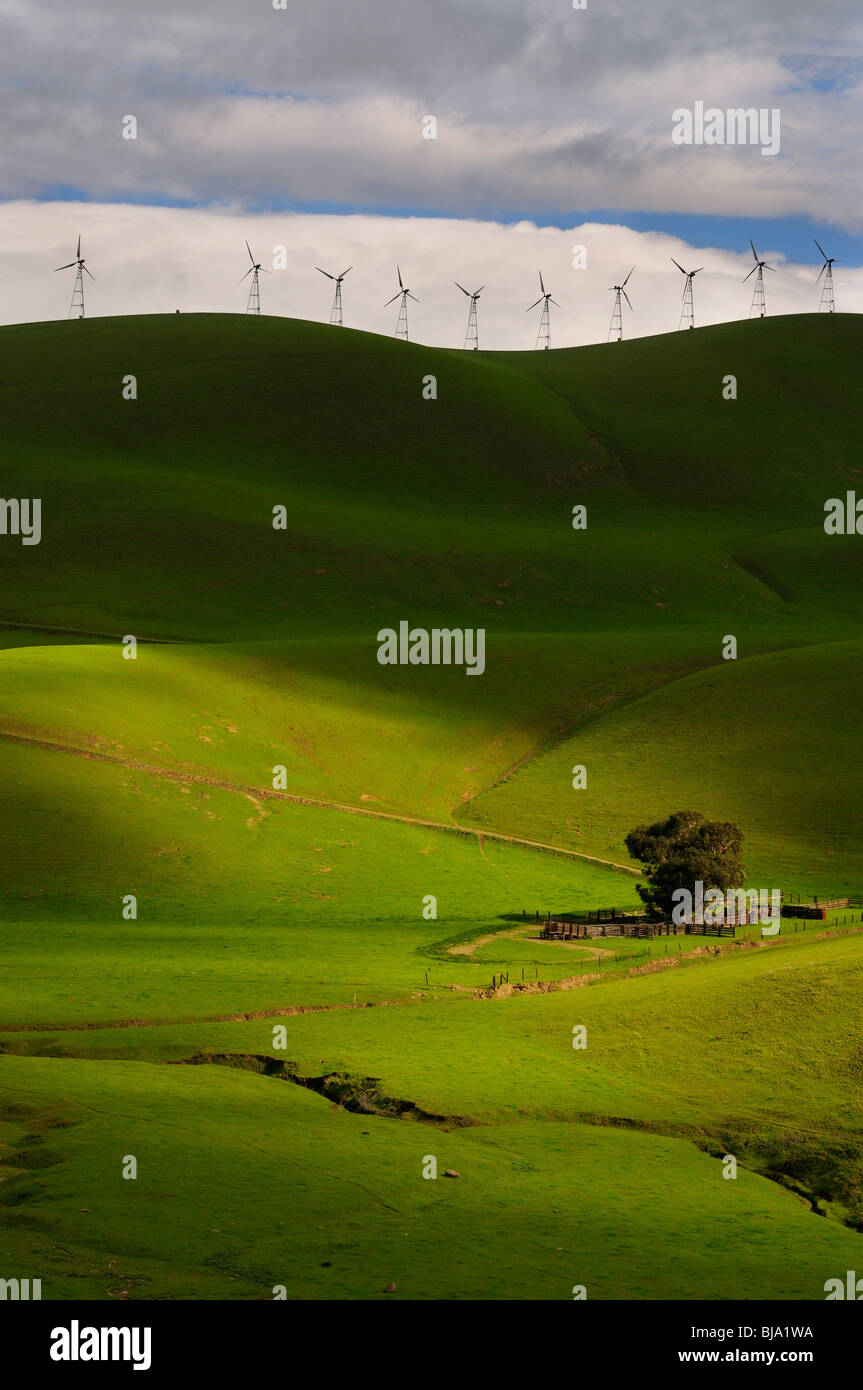 Rolling green pastures hi-res stock photography and images - Alamy