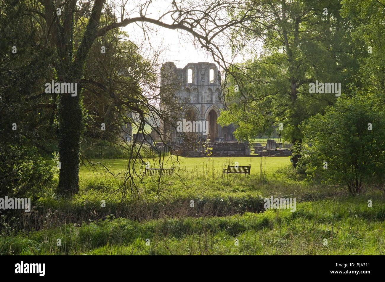 Roche Abbey, Maltby Beck, Rotherham, South Yorkshire Stock Photo - Alamy