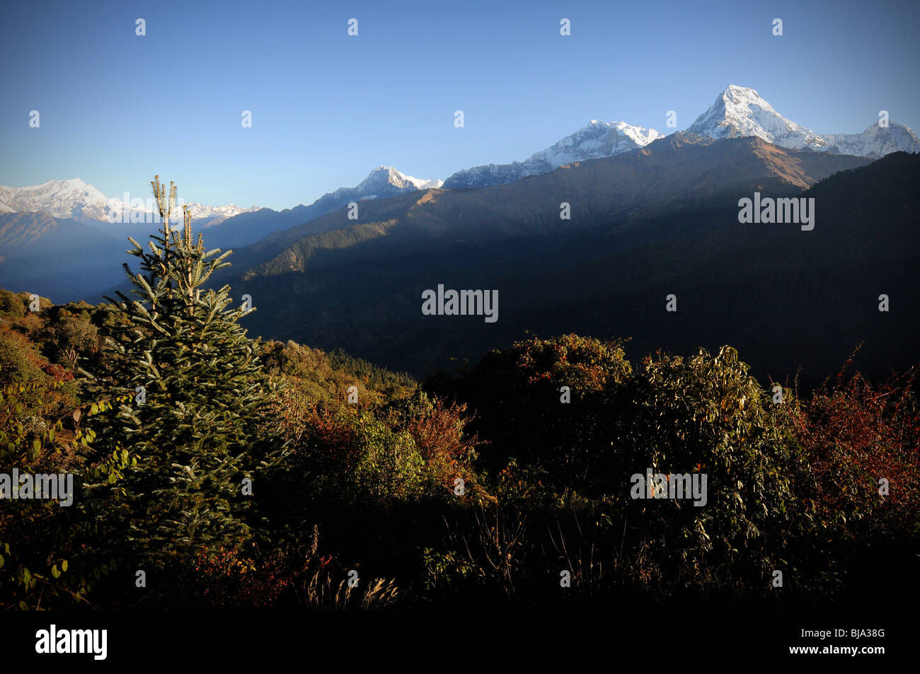 The annapurna mountains hi-res stock photography and images - Alamy