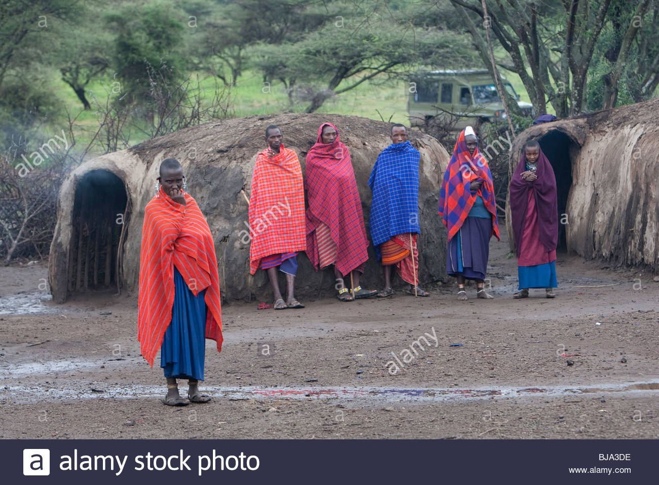 Cowdung Stock Photos & Cowdung Stock Images - Alamy