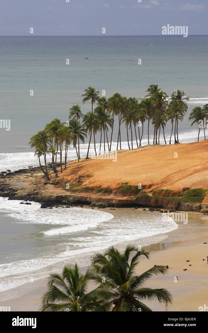 Beach in Lagoinha Brazil Stock Photo - Alamy